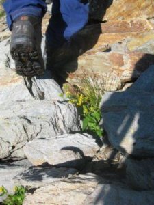 MASTERING THE REST STEP - SECRETS FROM A LAZY HIKER | Stories - CMH ...